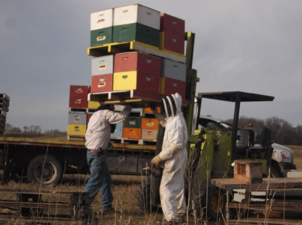 Bees hit the road – story from Fieldstone Farm - Iowa Food Cooperative